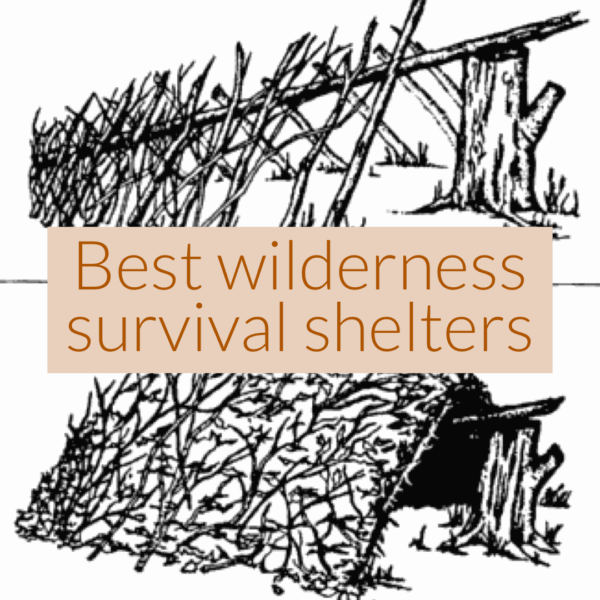 The Best Shelters to Build in the Wilderness - Survival Tips